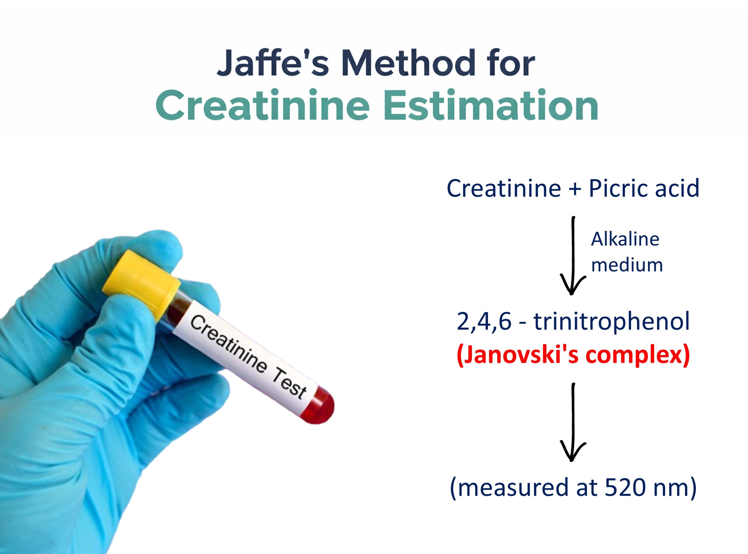 Jaffe’s Method for the Estimation of Creatinine